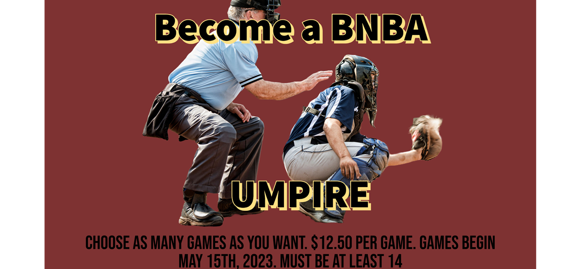 Bloomington Normal Baseball Association > Home