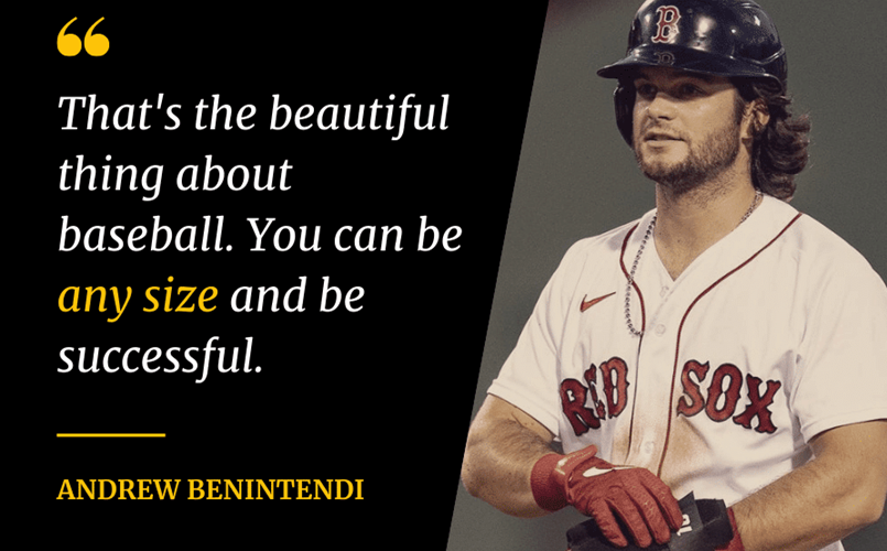 Bloomington Normal Baseball Association > Home