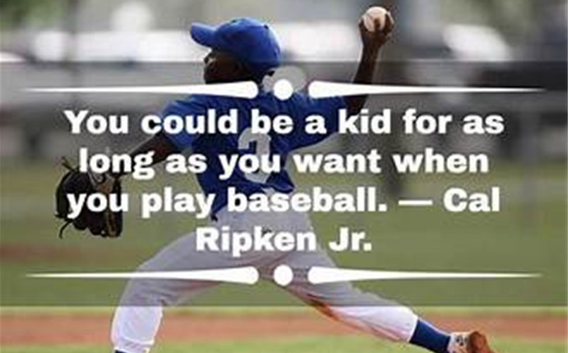 Bloomington Normal Baseball Association > Home